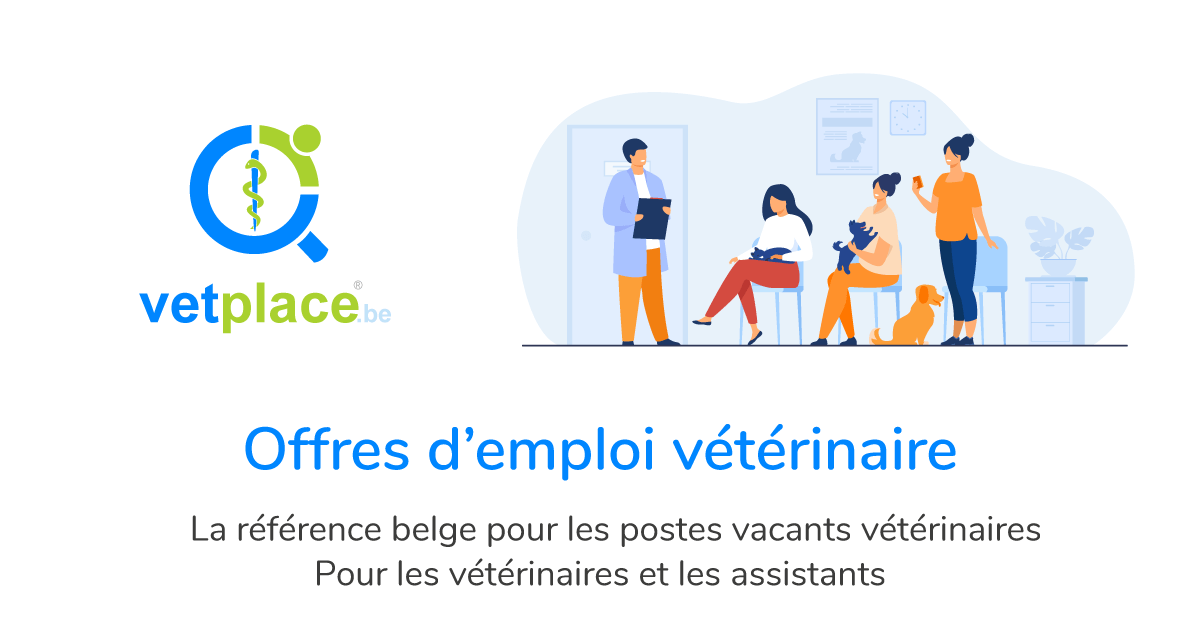 Offres d’emploi pour vétérinaires, assistants et soins animaliers ...